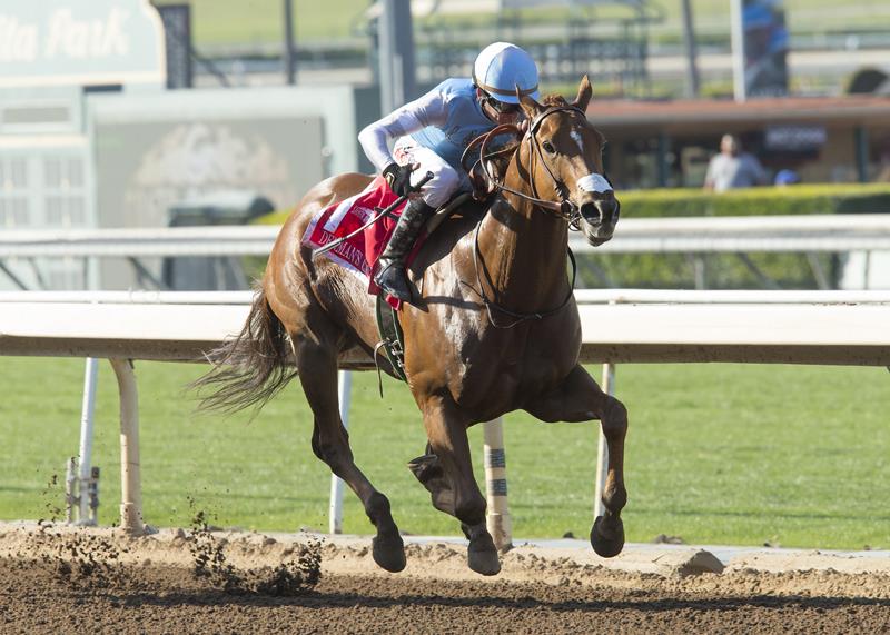 Denman's Call super in Triple Bend S. (G1) victory - Taylor Made Stallions