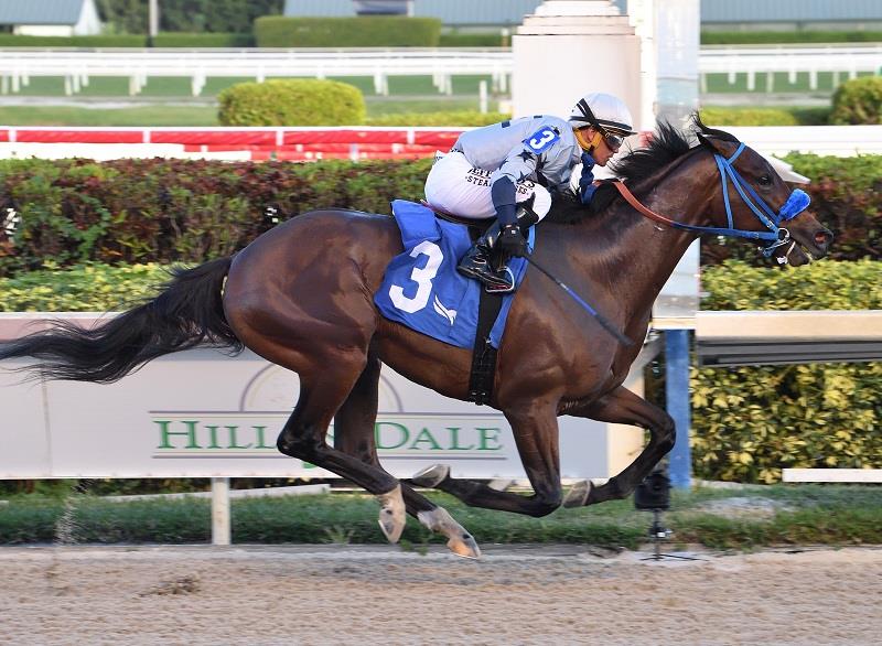 Not This Time colt starts 2022 with $150,000 Mucho Macho Man S. win ...