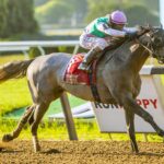 Tacitus - Taylor Made Stallions